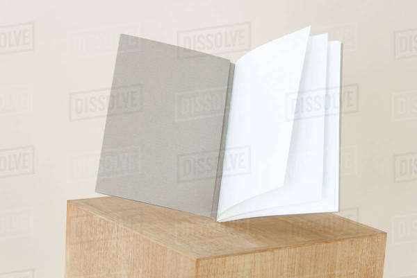 Open book balancing on pedestal, blank pages, close-up - Royalty-free ...