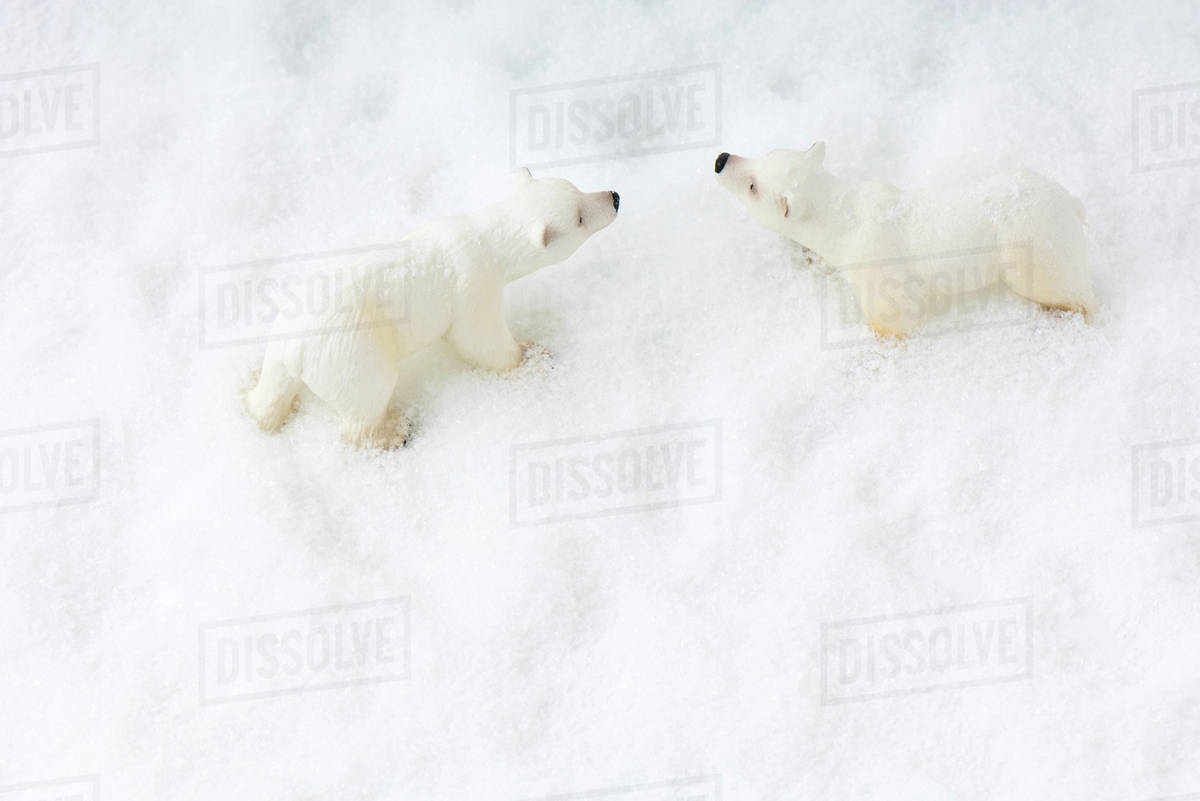 Toy polar bears in snow, overhead view - Stock Photo - Dissolve