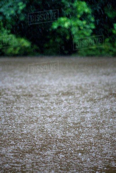 Heavy rain hitting surface of water - Stock Photo - Dissolve