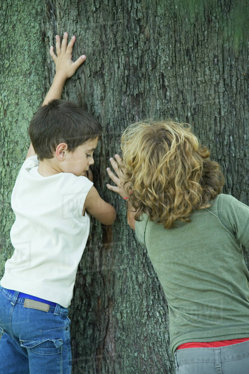 Two boys touching tree trunk, rear view - Royalty-free Stock Photo ...