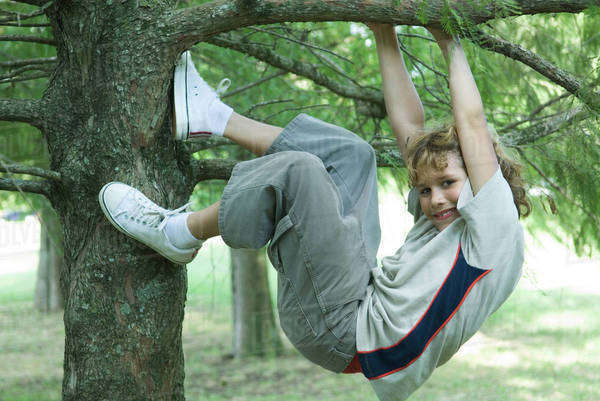 Boy climbing tree - Stock Photo - Dissolve