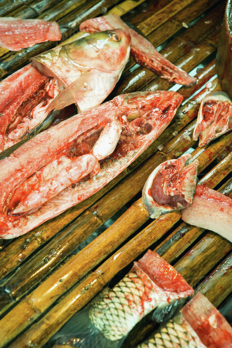 Cut up fish in market stall, close-up - Royalty-free Stock Photo | Dissolve