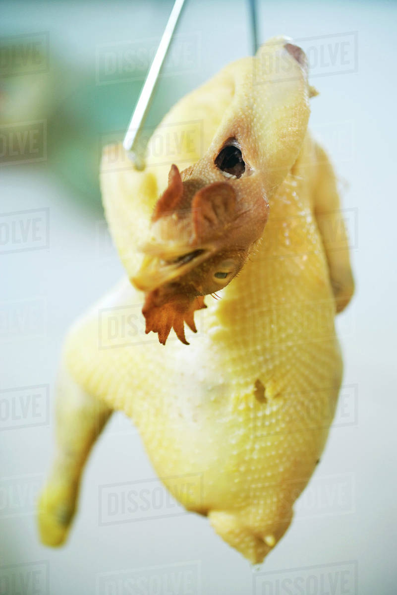 Raw skinned chicken hanging from hook - Royalty-free Stock Photo | Dissolve