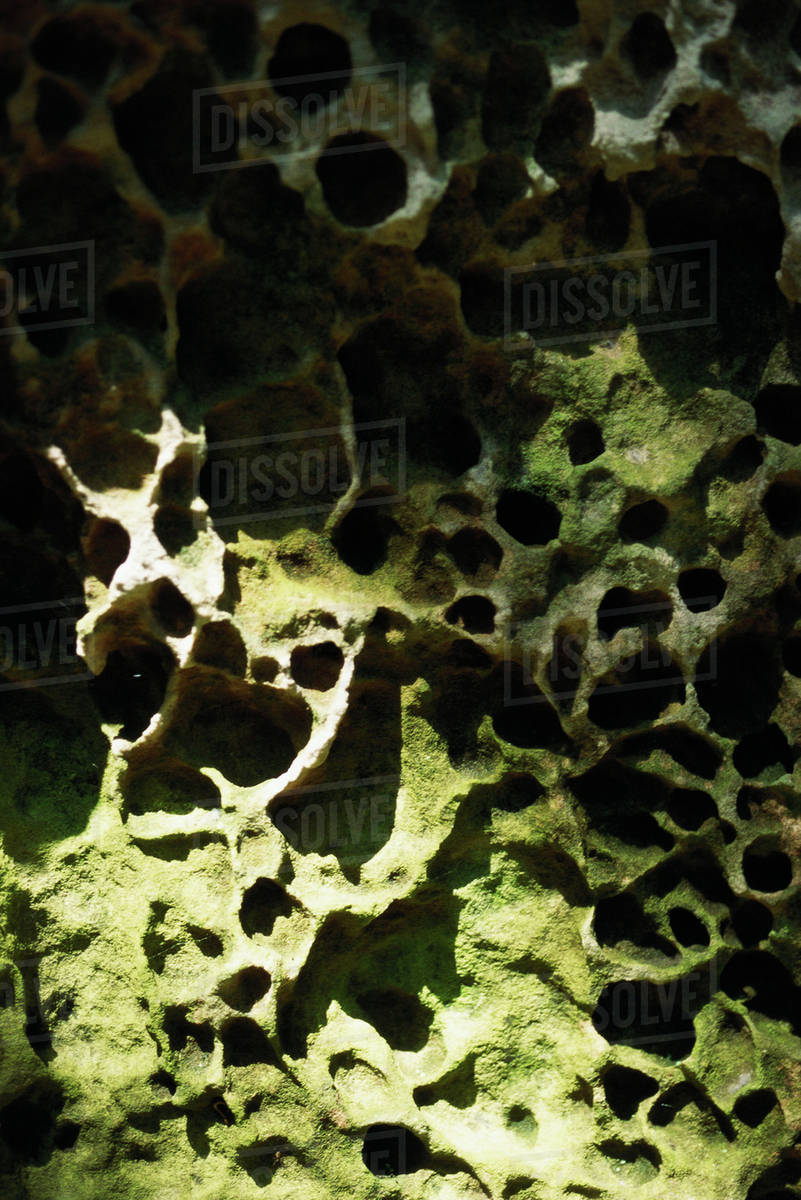 Porous rock, close-up, full frame - Royalty-free Stock Photo | Dissolve
