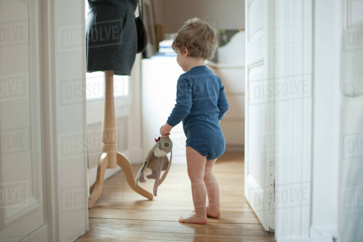 Toddler boy holding toy at home, rear view - Royalty-free Stock Photo ...