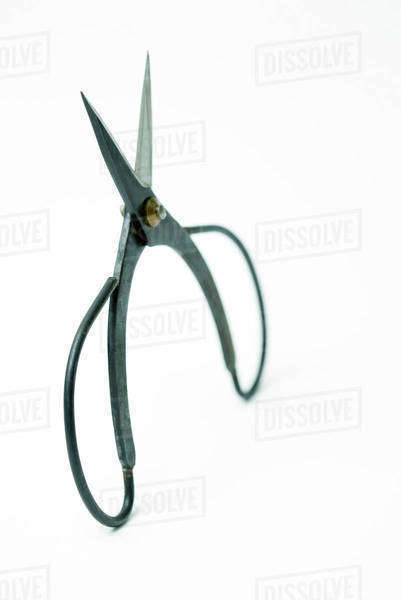 Root pruning scissors, close-up - Royalty-free Stock Photo | Dissolve