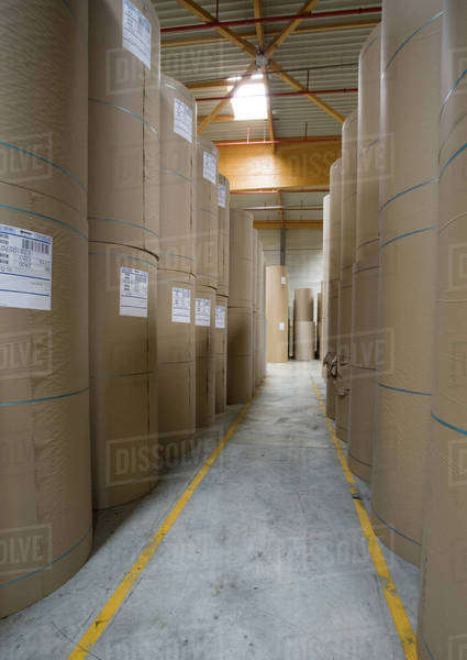 Rolls of paper in warehouse - Stock Photo - Dissolve
