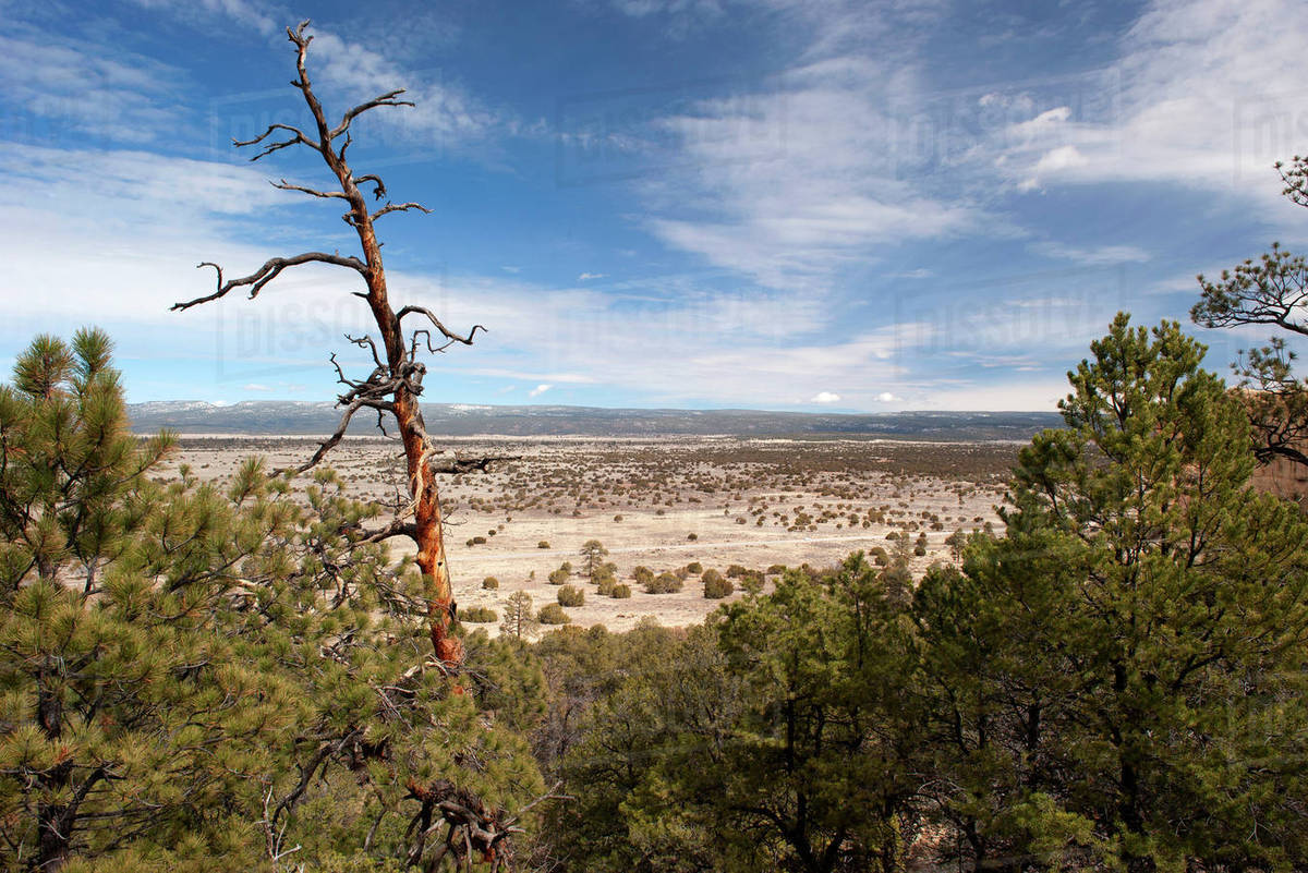 Scenic arid landscape - Stock Photo - Dissolve