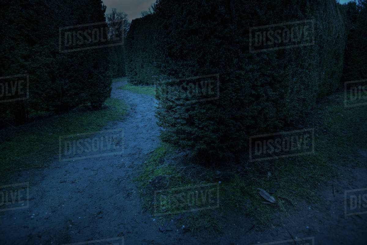 Hedge maze - Royalty-free Stock Photo | Dissolve