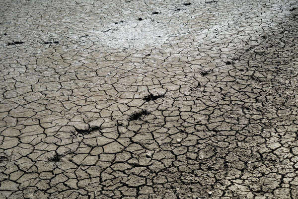 View of barren land - Stock Photo - Dissolve