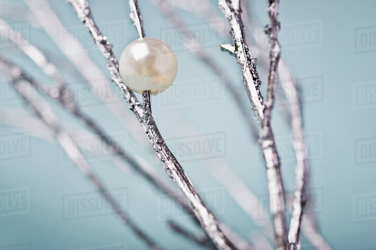 Silver branches with pearl decorations - Royalty-free Stock Photo ...