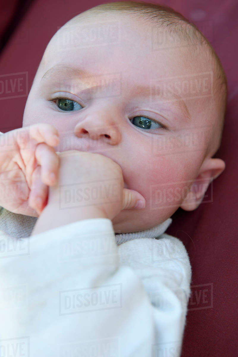 Baby biting hand, high angle view - Stock Photo - Dissolve