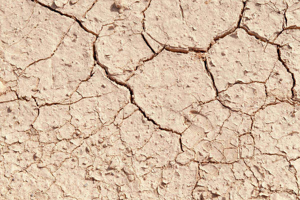 Desert ground, close-up - Royalty-free Stock Photo | Dissolve