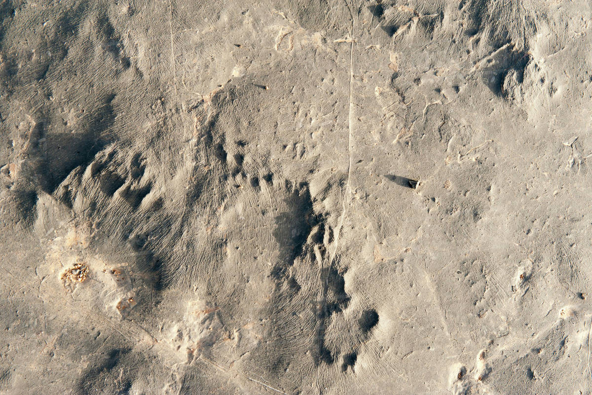 Desert ground, close-up - Stock Photo - Dissolve