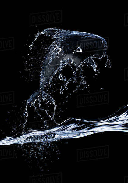 Water splash forming dolphin - Royalty-free Stock Photo | Dissolve