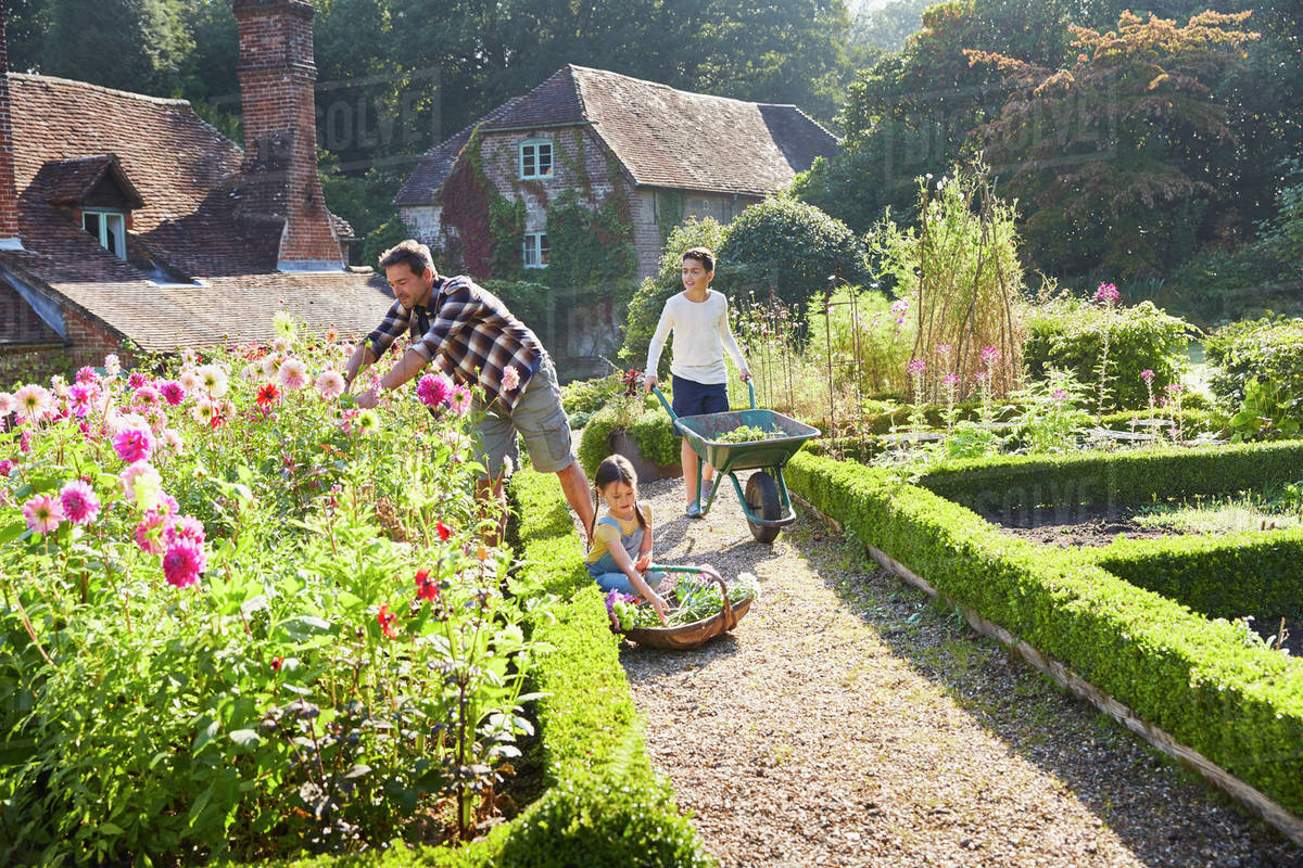 Family gardening in sunny flower garden - Royalty-free Stock Photo ...