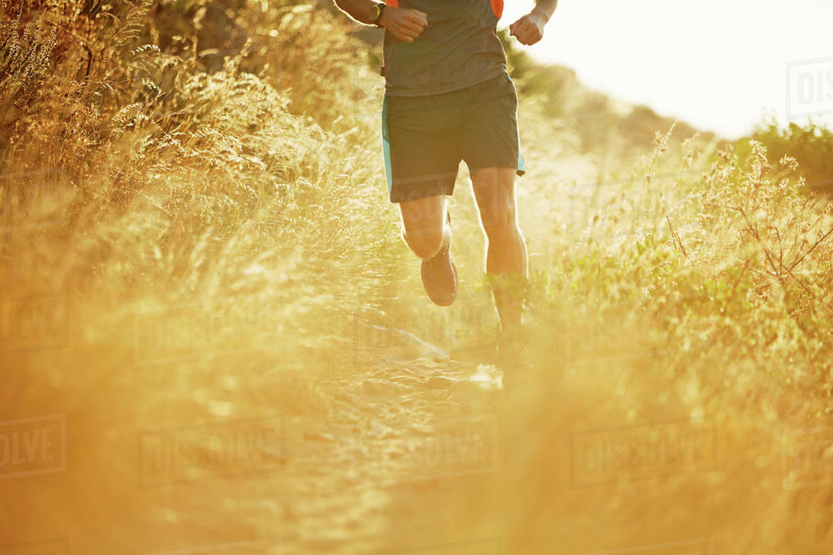 Man running on sunny trail through tall grass - Royalty-free Stock ...