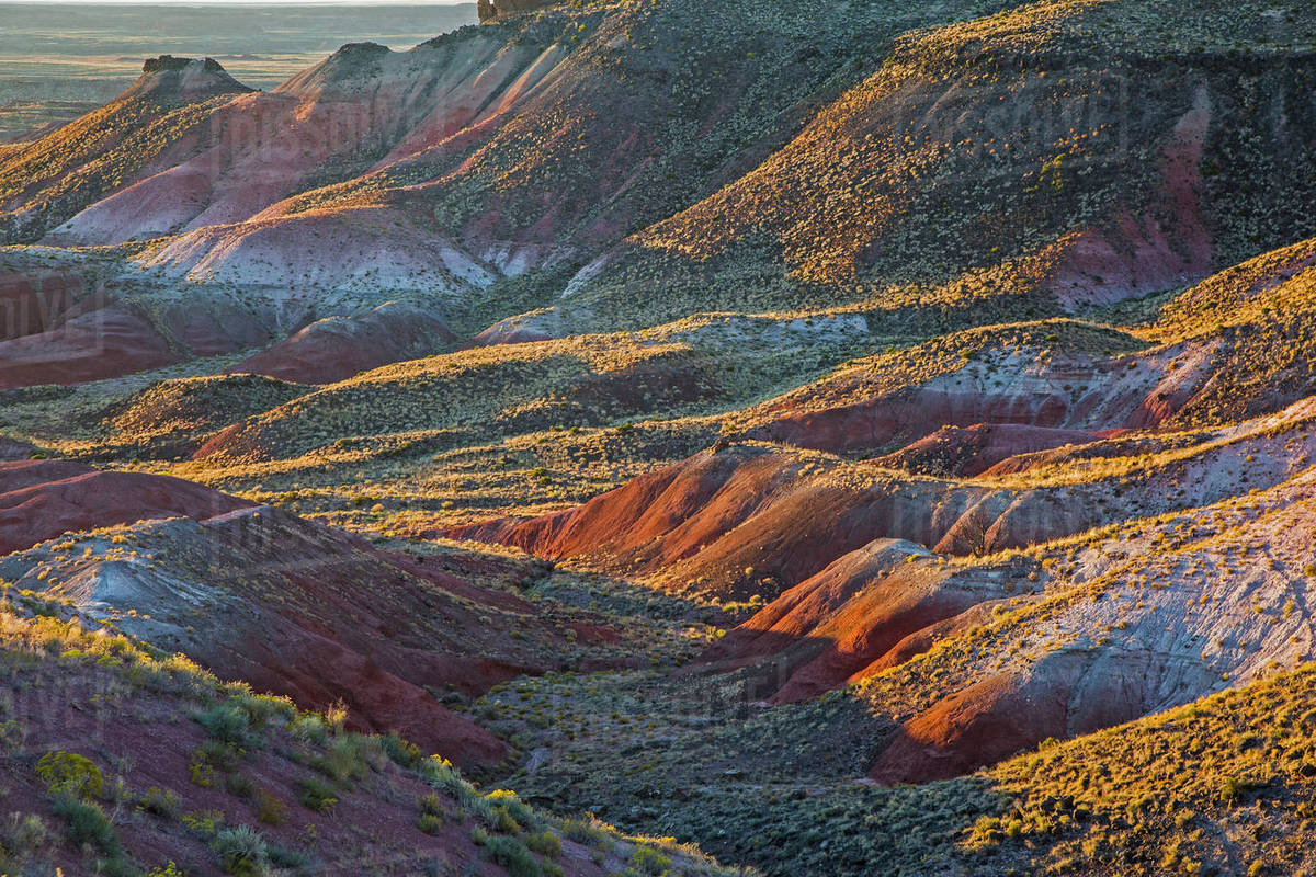Painted Desert Petrified Forest National Park, Arizona United States ...