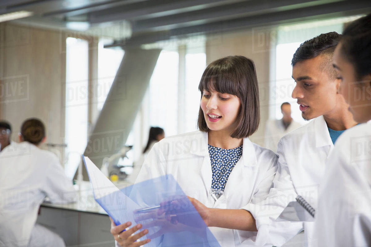 College students discussing notes in science laboratory classroom ...