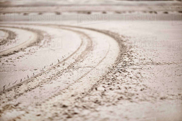 Tracks forming in sand on beach - Royalty-free Stock Photo | Dissolve