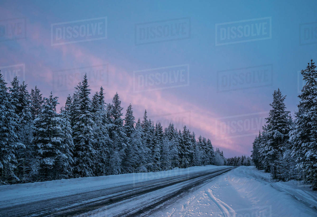Remote winter road through snow covered forest trees, Lapland, Finland ...