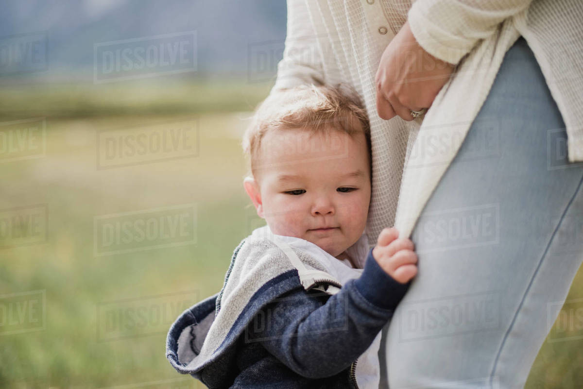 Affectionate baby son clinging to mother s legs - Royalty-free Stock ...