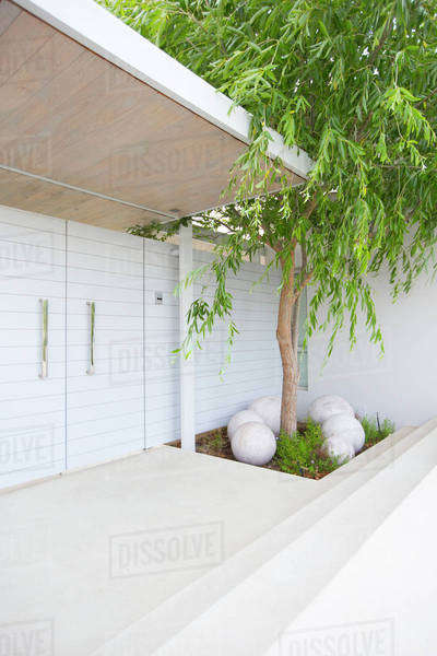 Tree in courtyard of modern house - Stock Photo - Dissolve