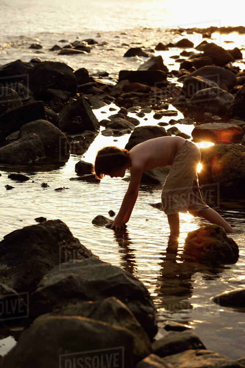 Boy searching in tide pools - Stock Photo - Dissolve