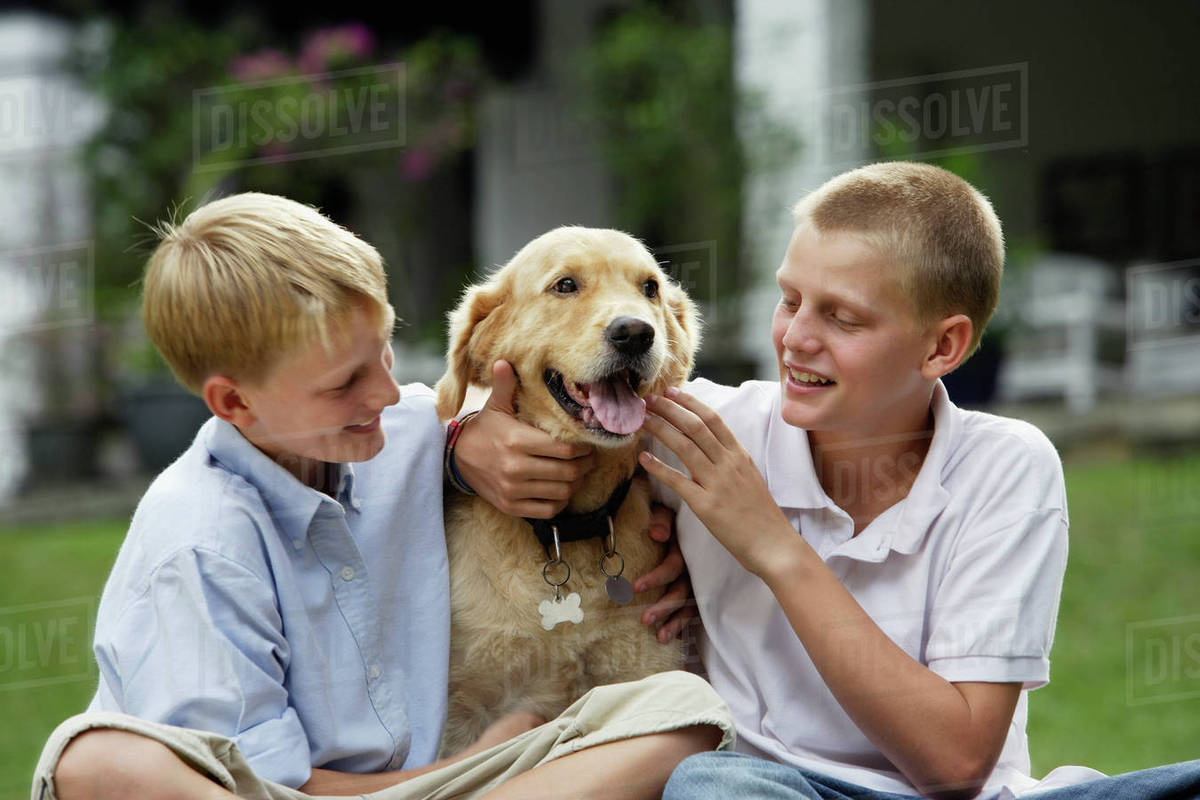 Two boys with dog - Stock Photo - Dissolve