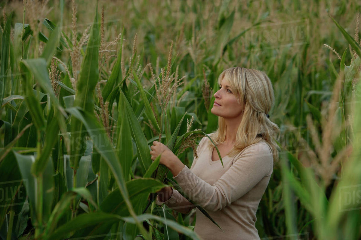 Woman standing amid corn stalks - Royalty-free Stock Photo | Dissolve
