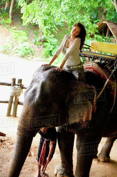 Young woman sitting on elephant, looking at camera, Phuket, Thailand ...