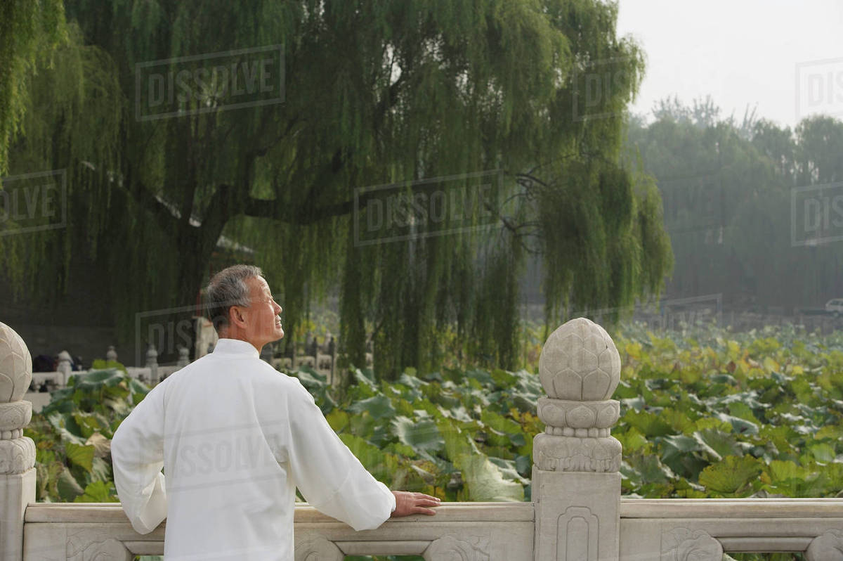 An old man leans on a railing and looks into the distance - Stock Photo ...
