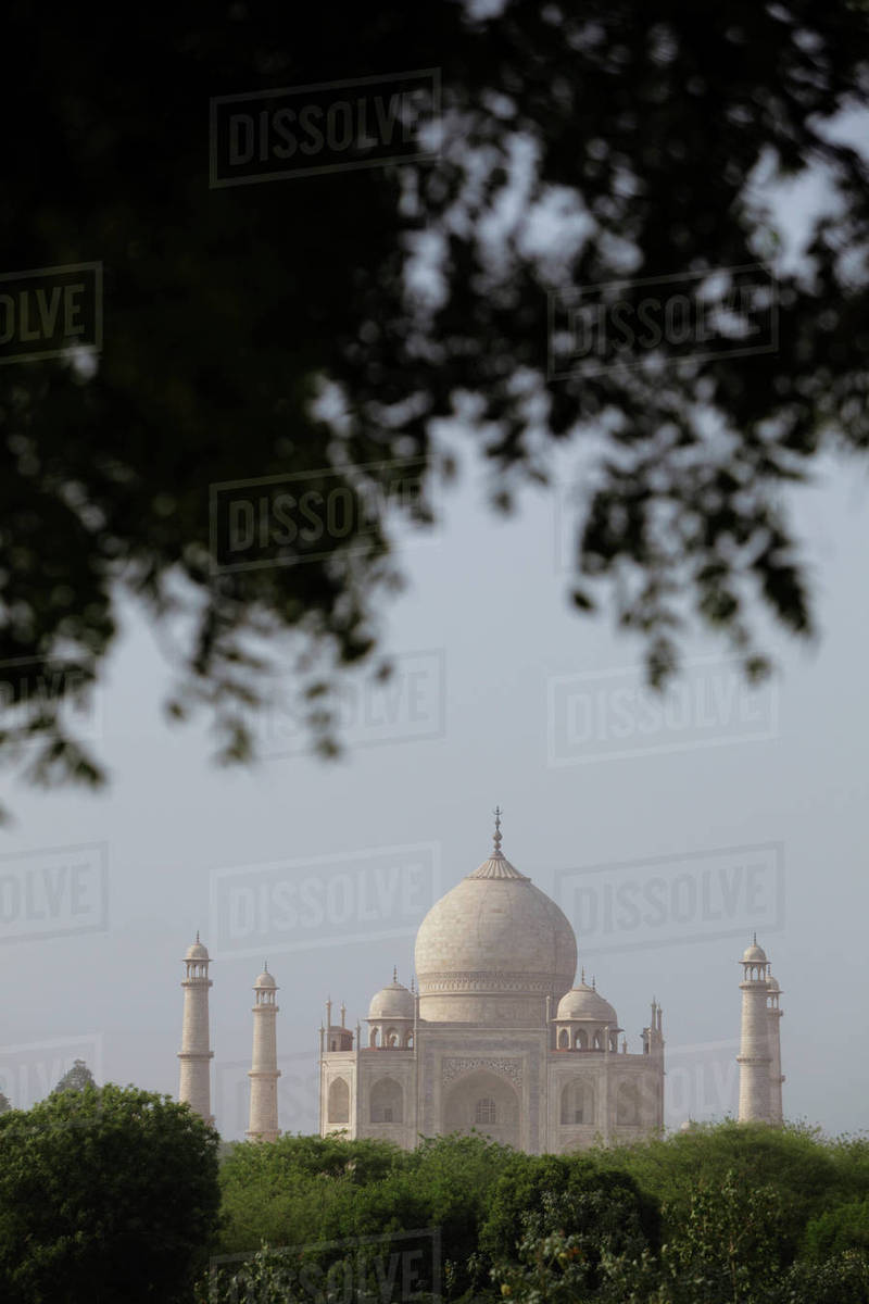 A bird flying past the Taj Mahal, Agra, India - Stock Photo - Dissolve