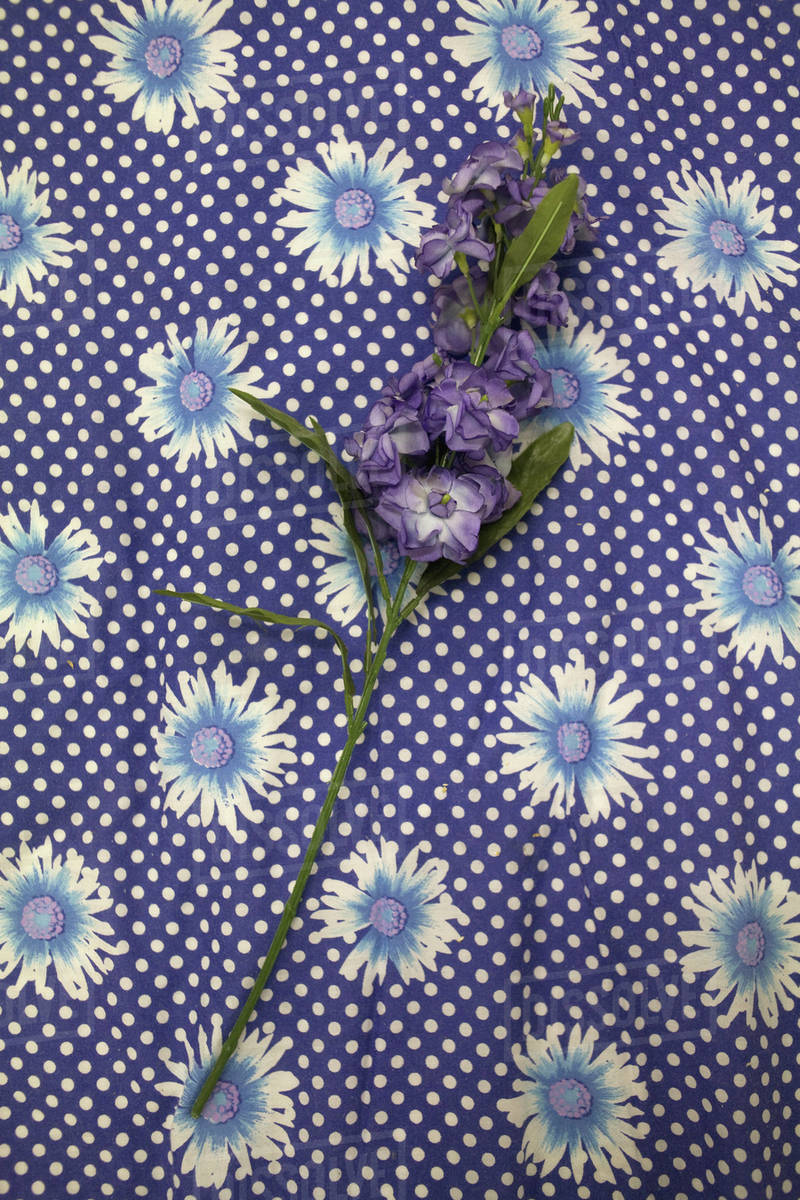 Purple flowers on floral fabric - Stock Photo - Dissolve
