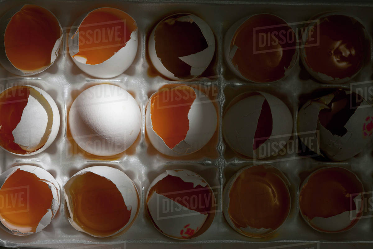 One whole egg amongst many broken eggs - Stock Photo - Dissolve