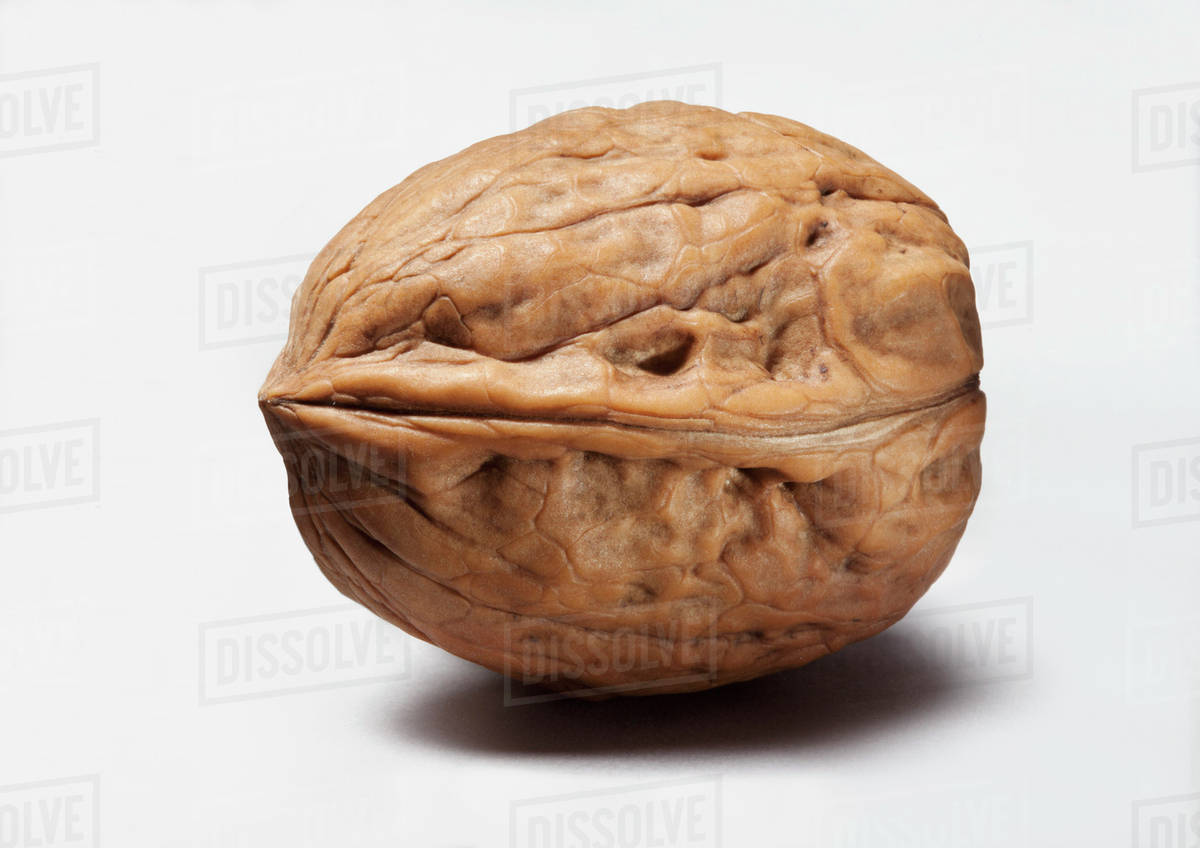 A walnut - Royalty-free Stock Photo | Dissolve