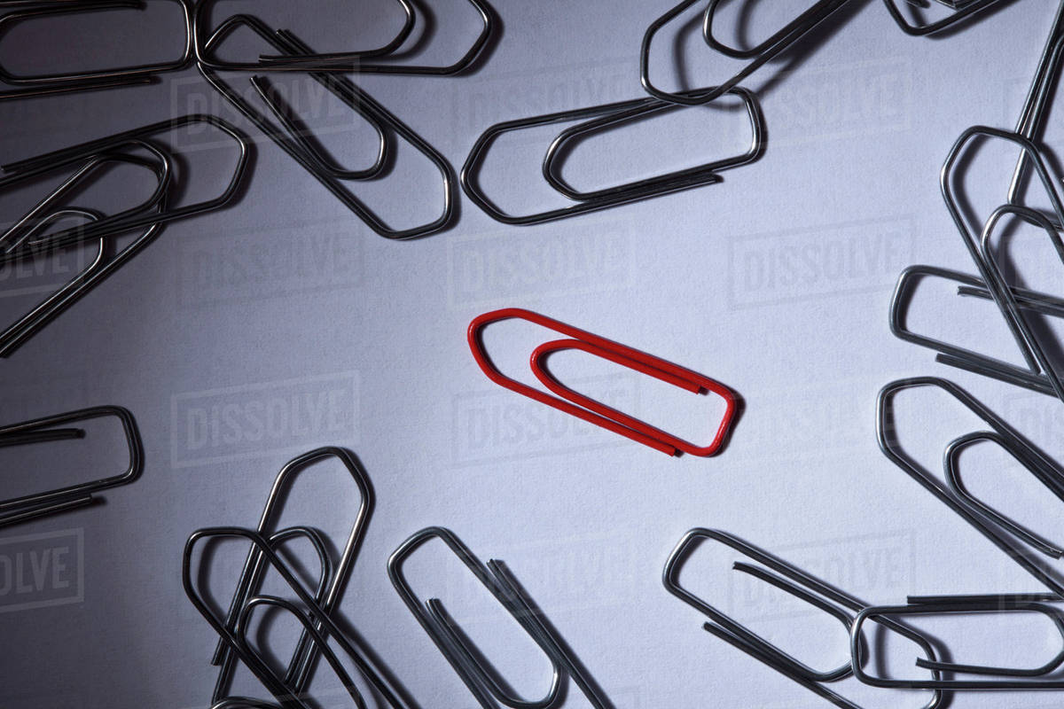 A red paperclip separated from silver paperclips - Stock Photo - Dissolve