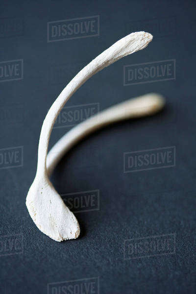 Chicken wishbone - Royalty-free Stock Photo | Dissolve