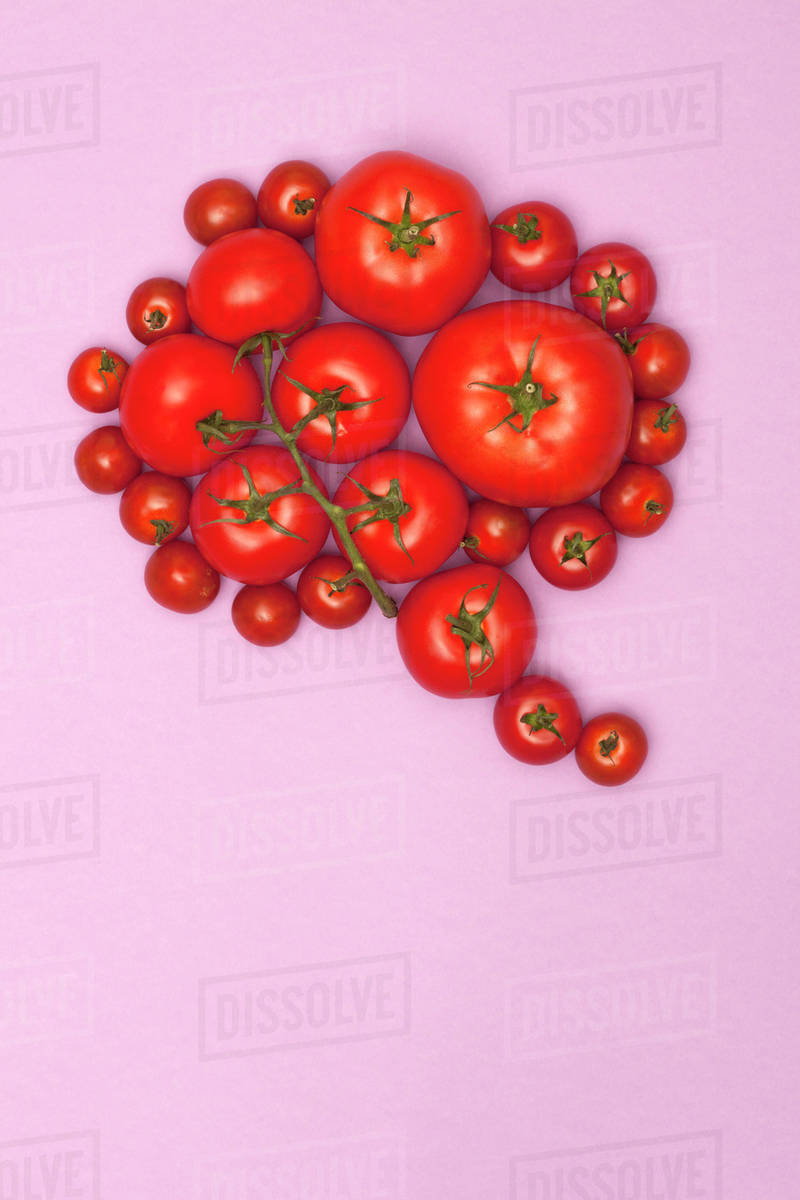 Various sizes of tomatoes arranged into the shape of a speech bubble ...