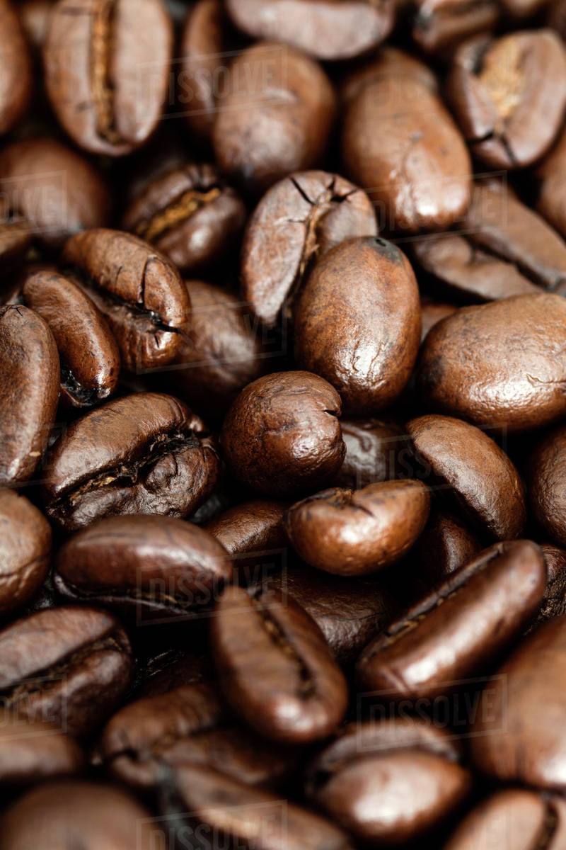Whole coffee beans, full frame - Stock Photo - Dissolve