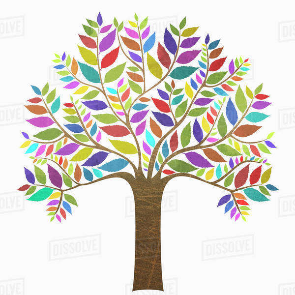 Multi colored tree against white background - Stock Photo - Dissolve