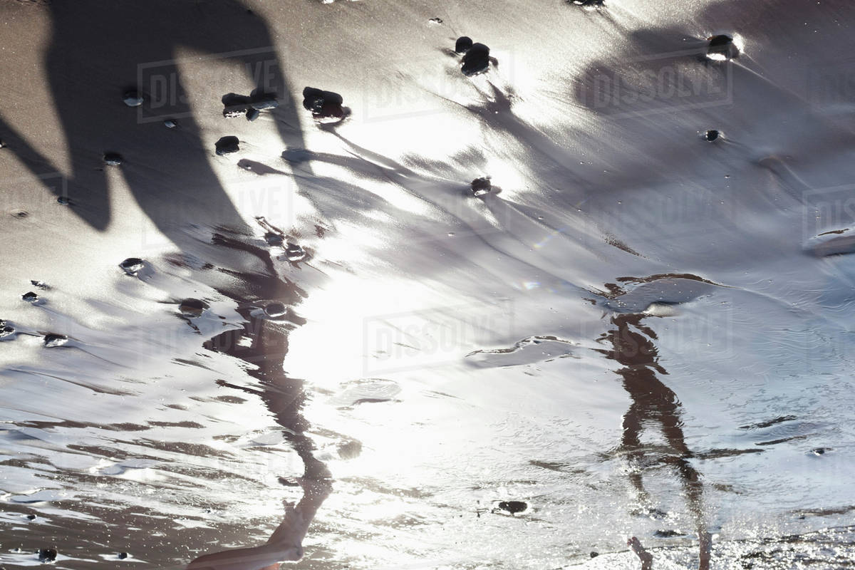Shadow of people running on beach - Royalty-free Stock Photo | Dissolve