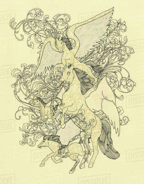 Four Pegasi - Stock Photo - Dissolve