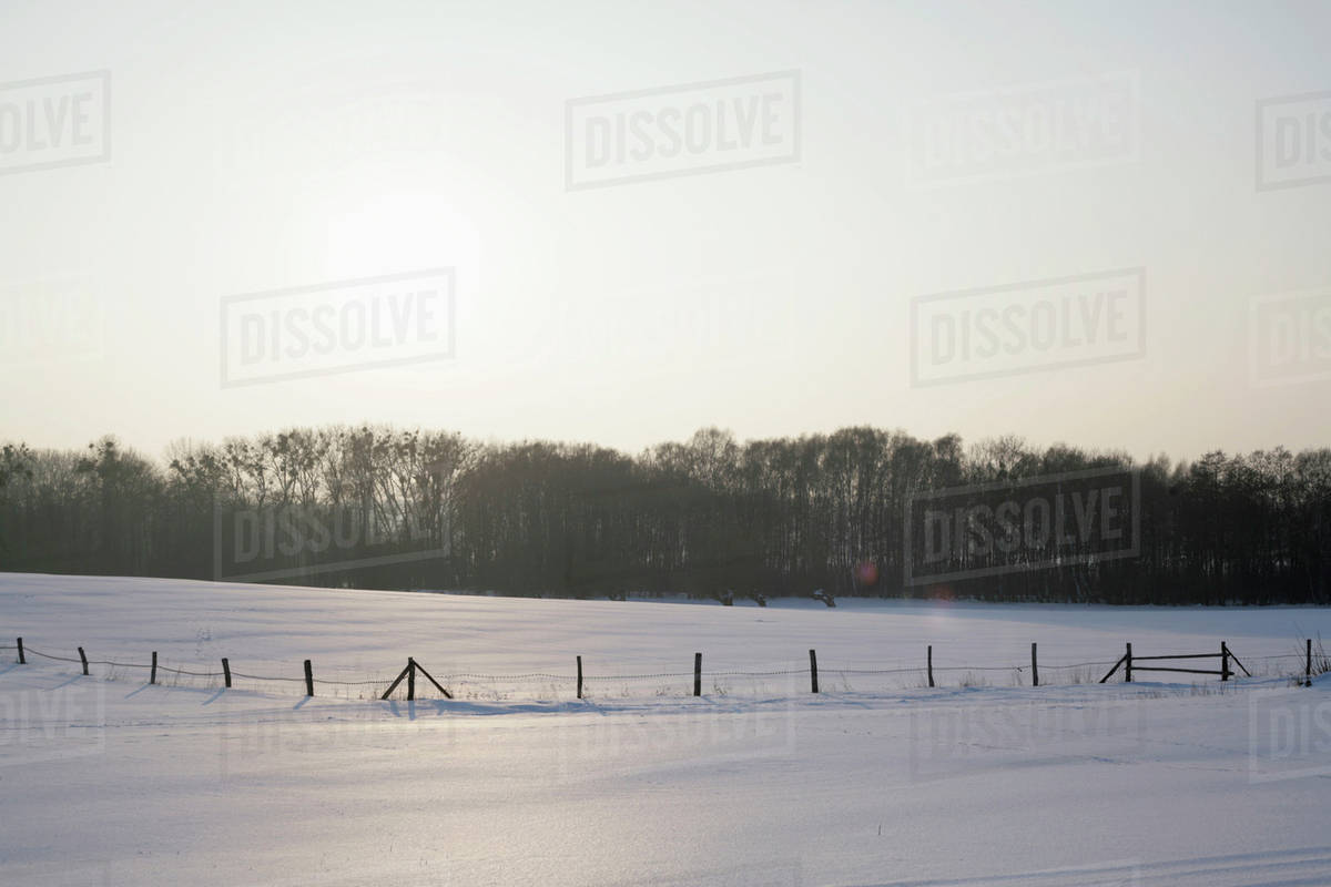 Snow covered field - Stock Photo - Dissolve