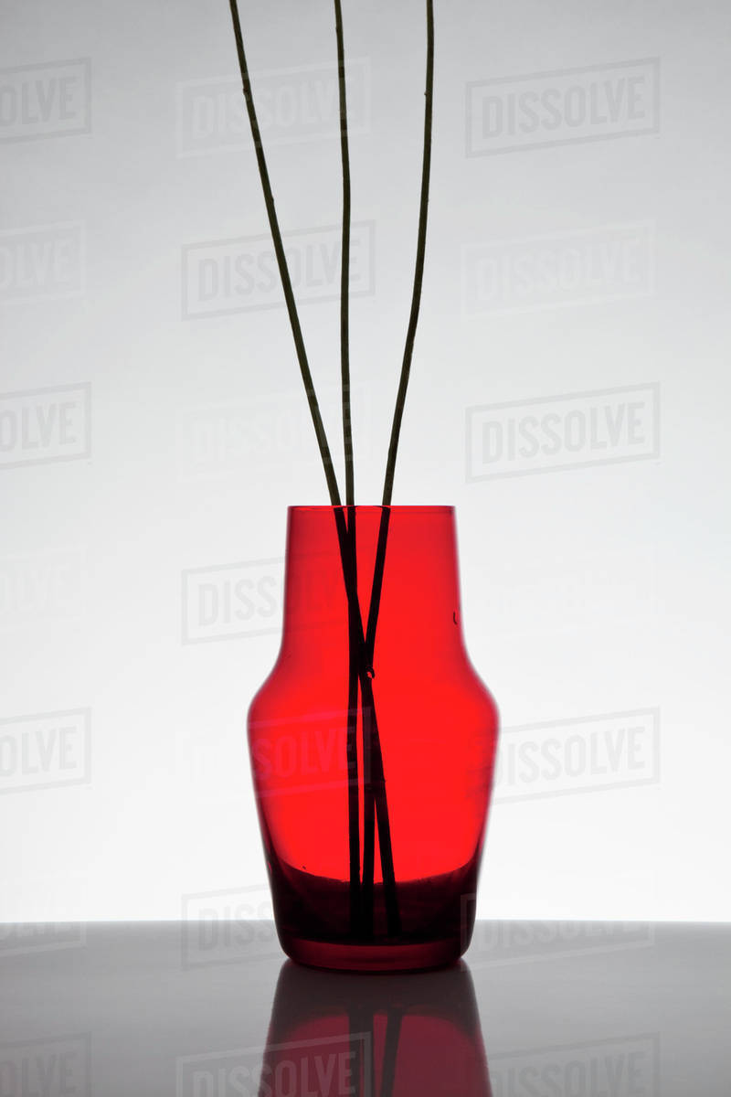 Three stems in a vase - Stock Photo - Dissolve