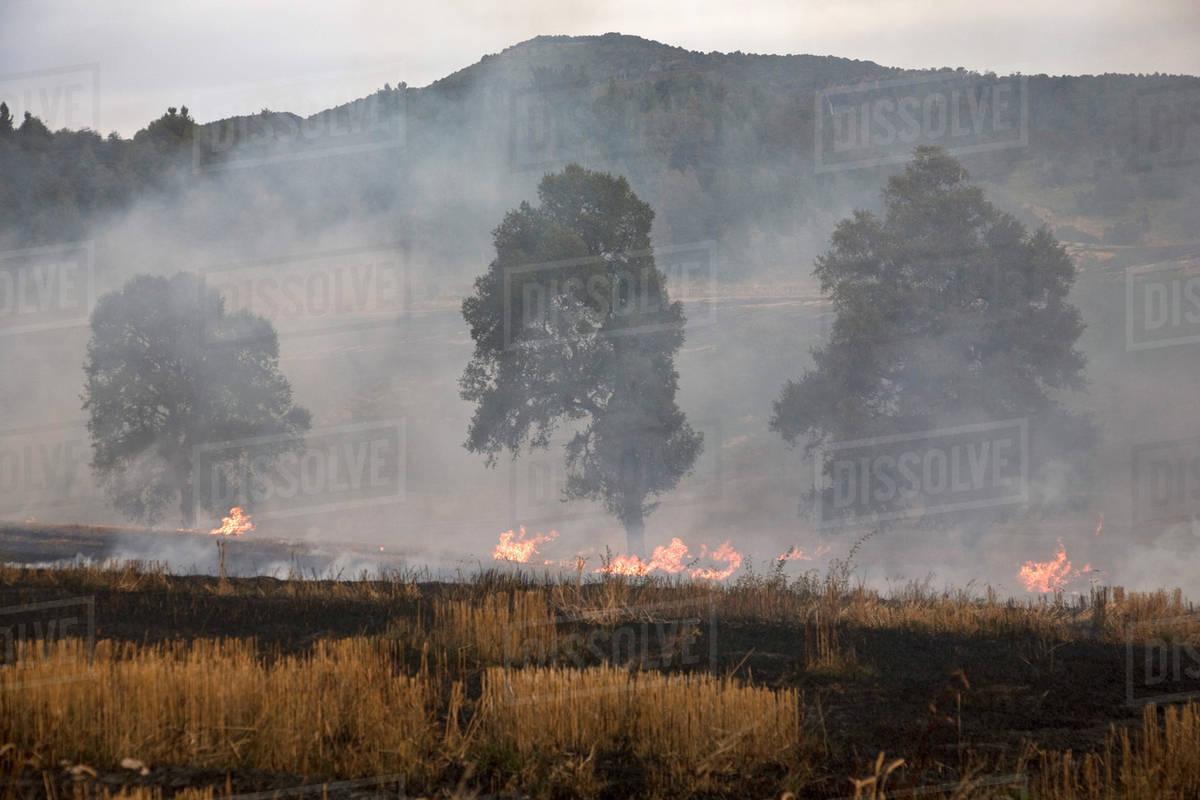 A fire burning in a field - Royalty-free Stock Photo | Dissolve