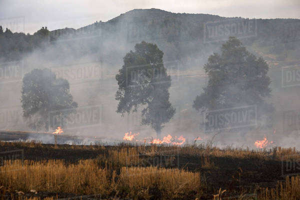 A fire burning in a field - Royalty-free Stock Photo | Dissolve