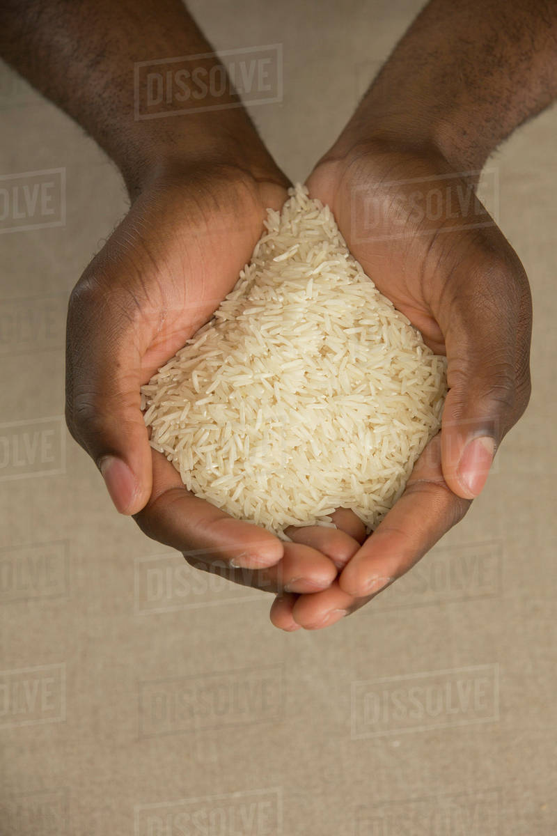 High angle view of rice in cupped hands at table - Royalty-free Stock ...