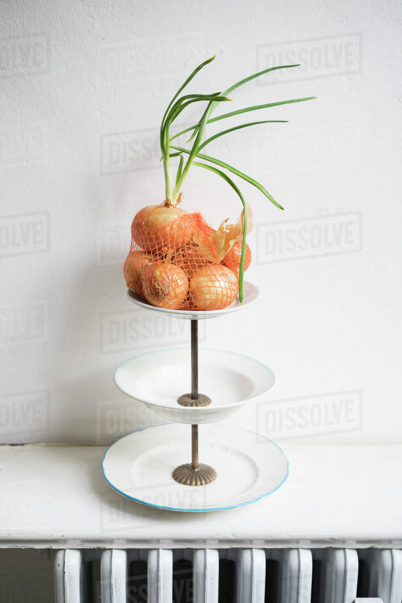 Sprouted onion on cake stand - Royalty-free Stock Photo | Dissolve