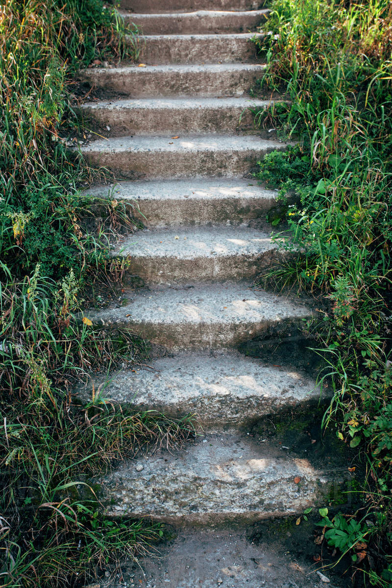 Steps in forest - Royalty-free Stock Photo | Dissolve